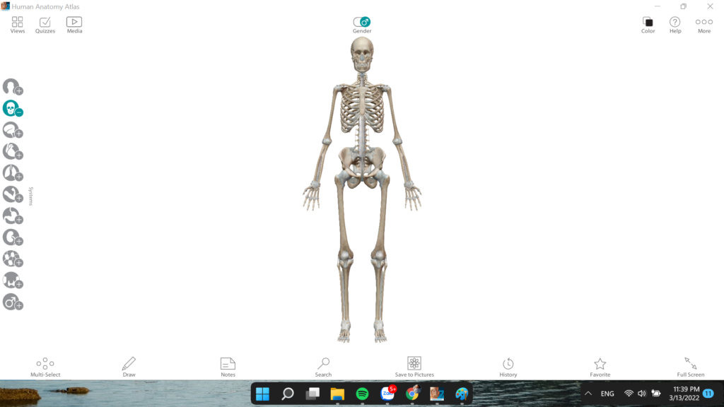 Phần mềm Giải phẫu 3D Visible Body Human Anatomy Atlas - Y khoa Tây Nguyên